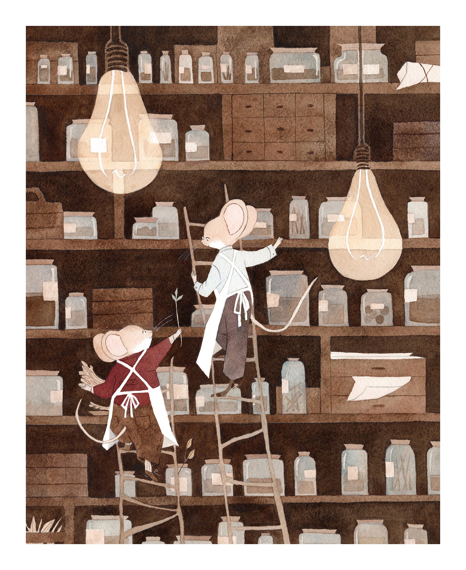 Vanessa Gillings - Apothecaries Print – Nucleus Portland