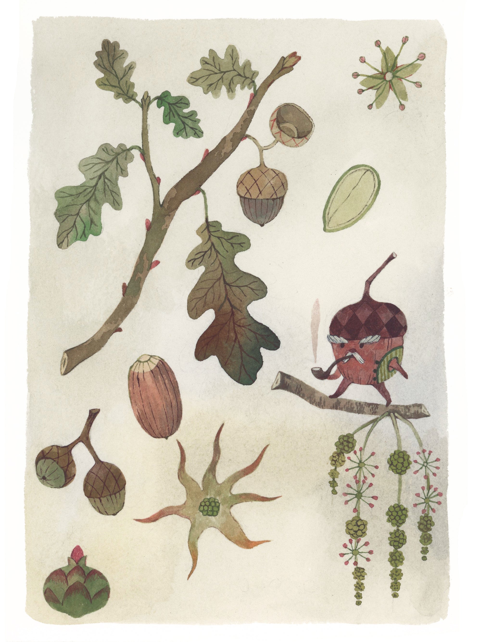 Taryn Knight - Acorn Sprite – Nucleus Portland