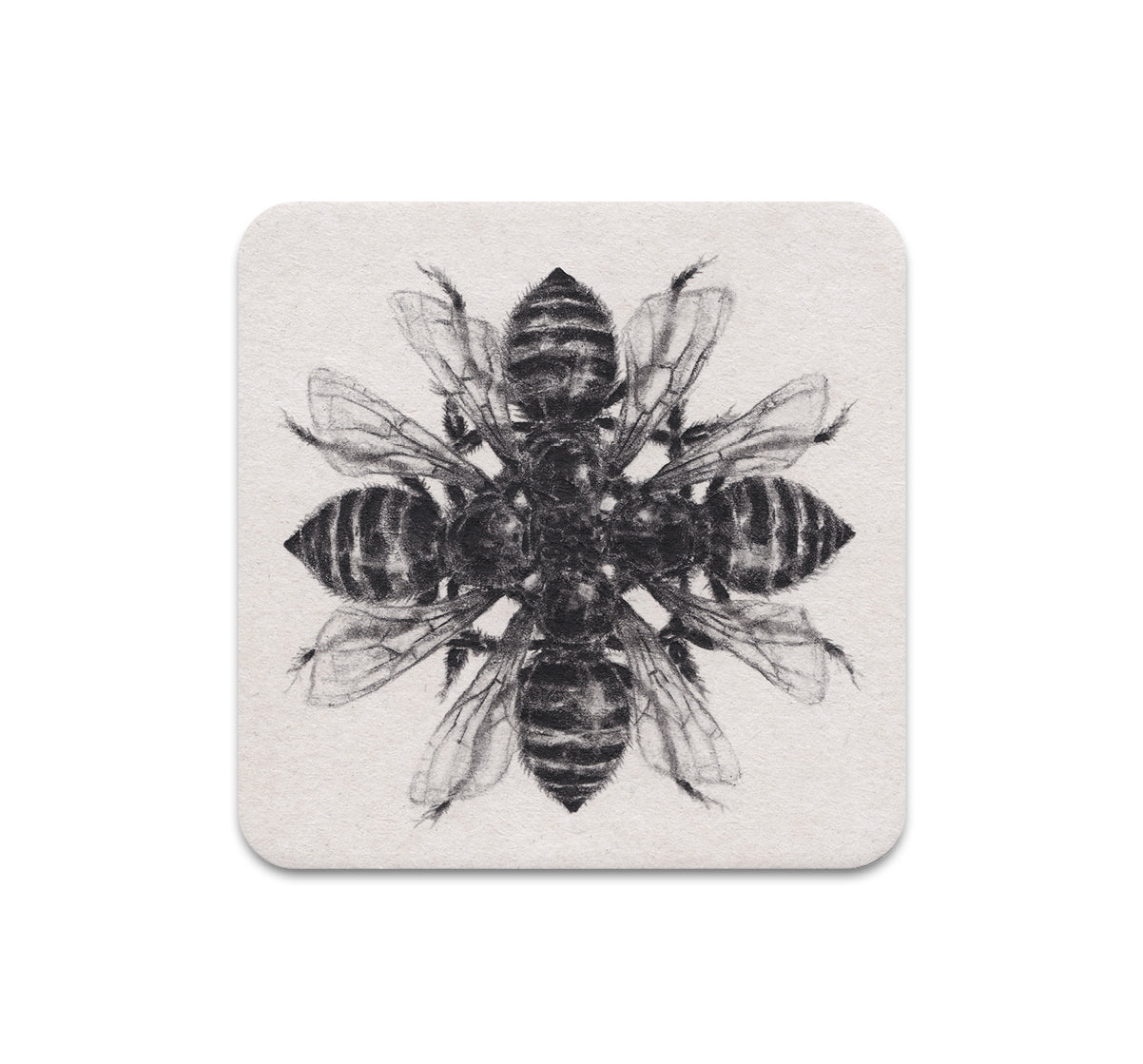 S8 Dusty Ray - Coaster 3 – Nucleus Portland