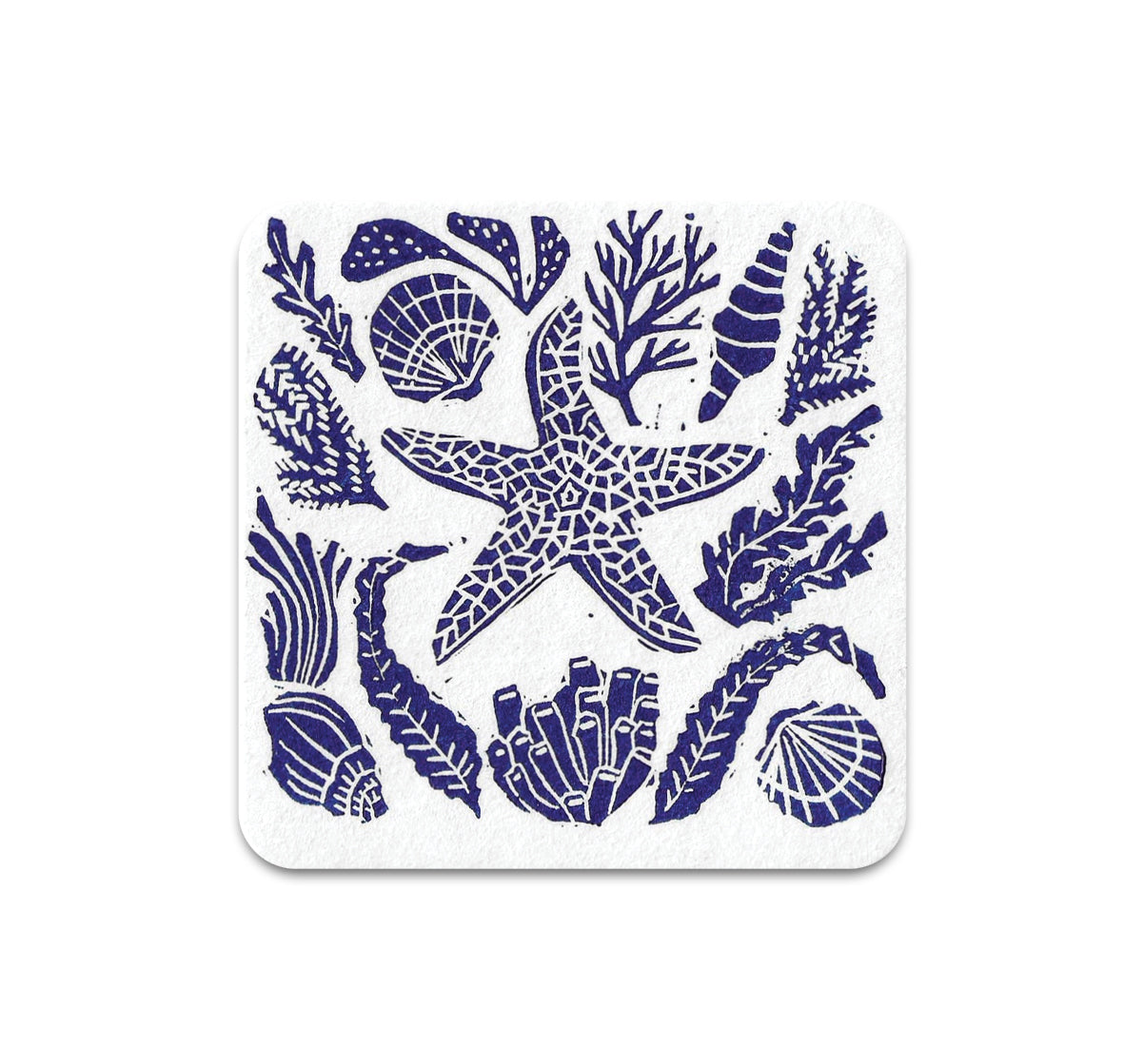 S9 Andrea Lauren - Coaster 6 – Nucleus Portland