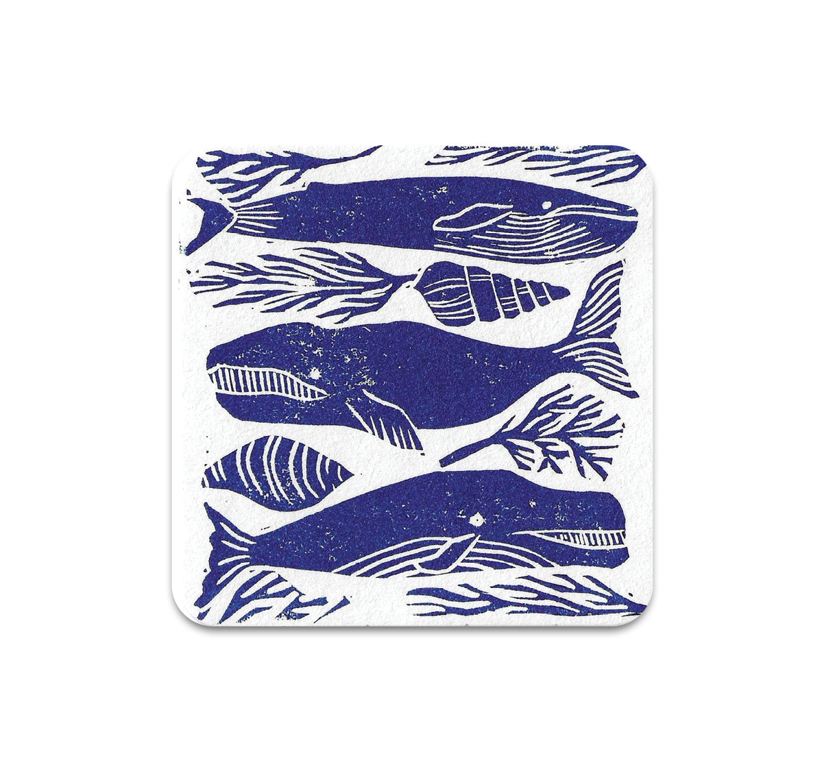 S9 Andrea Lauren - Coaster 8 – Nucleus Portland