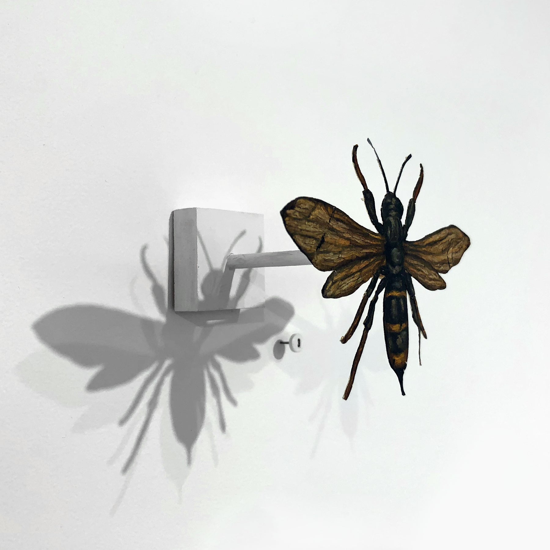 Jason Holley - Vespa Mandarin Japonica – Nucleus Portland