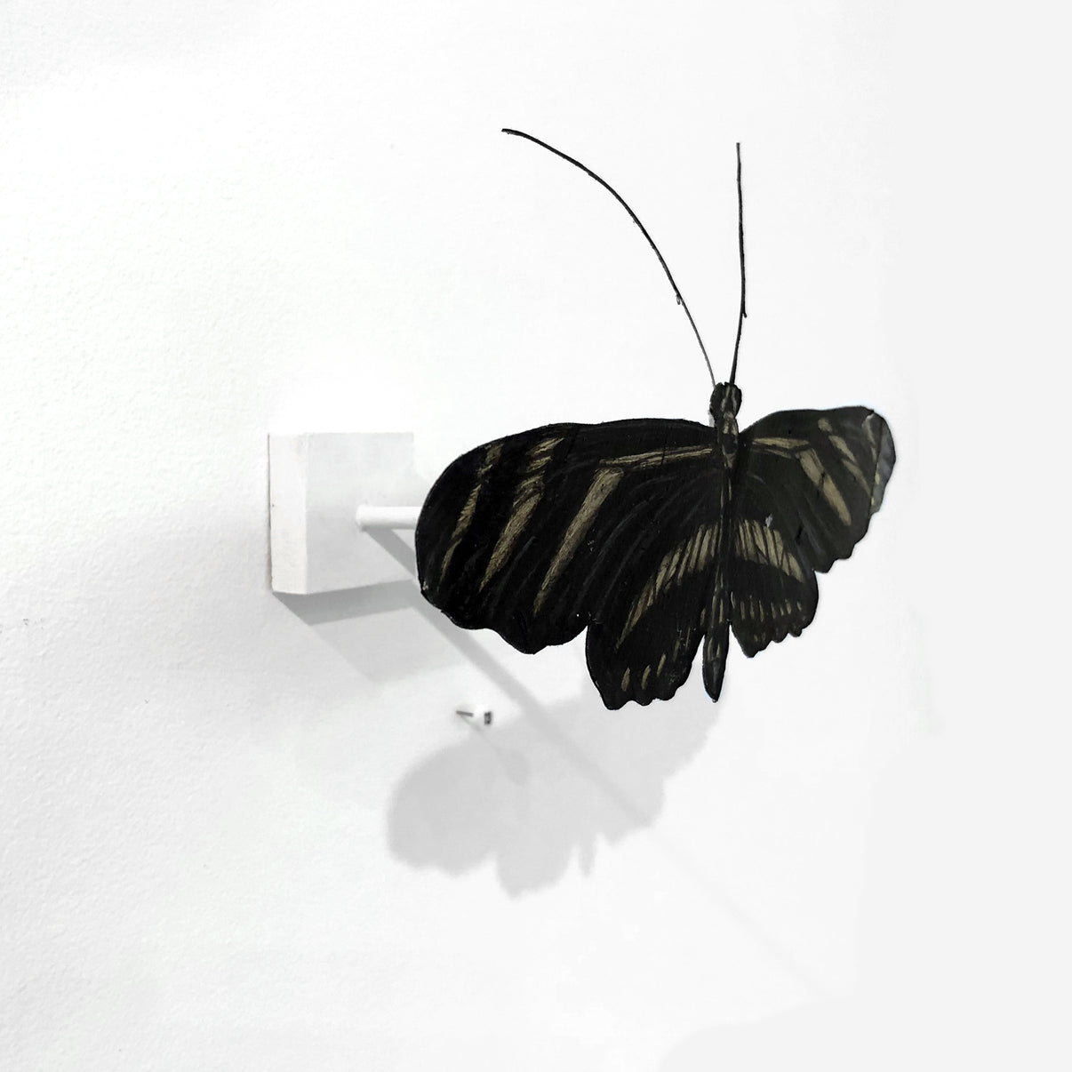 Jason Holley - Heliconius Charithonia – Nucleus Portland