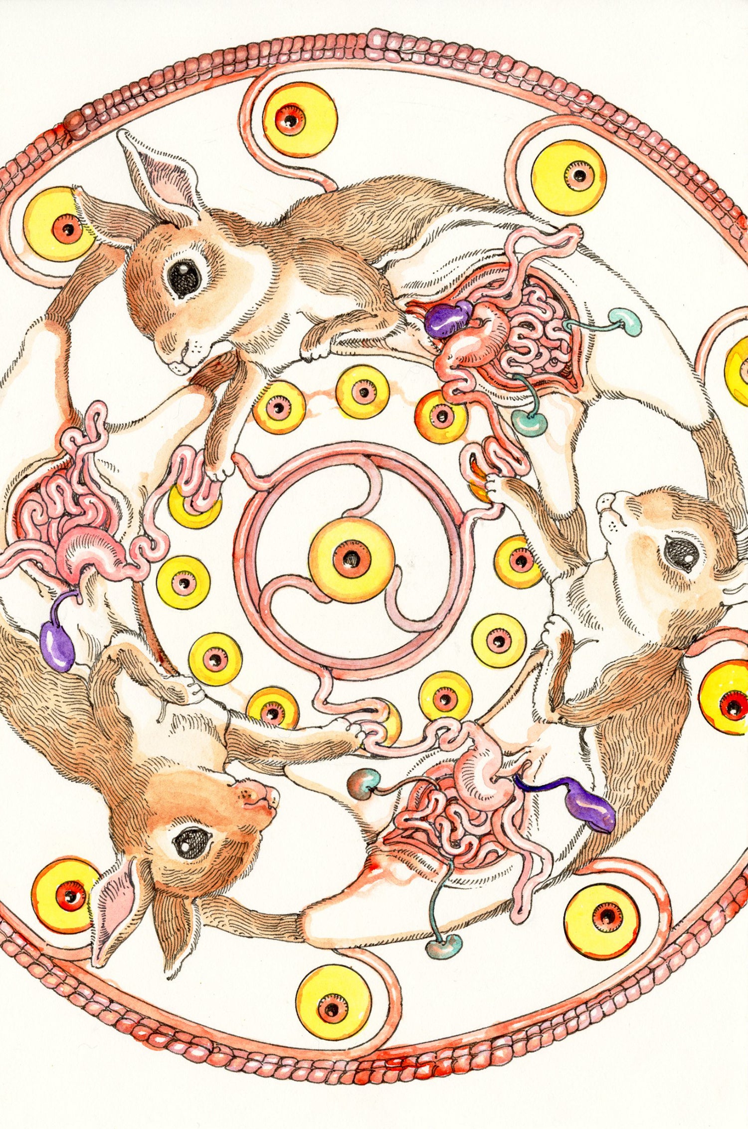 Shintaro Kago - Rabbit – Nucleus Portland