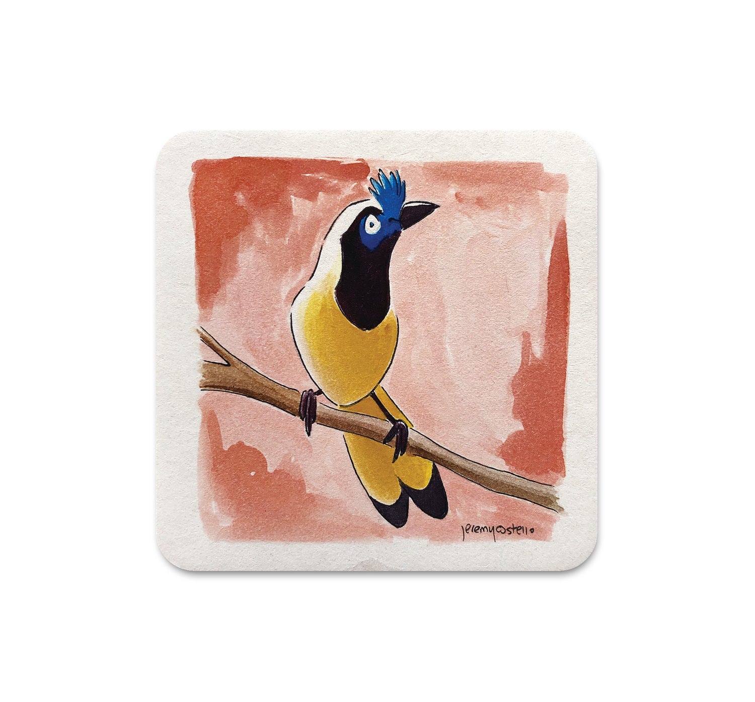 S4 Jeremy Costello - 2 Coaster – Nucleus Portland