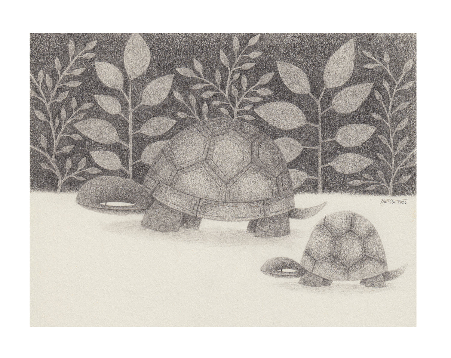 Kim Slate - Slow & Steady – Nucleus Portland