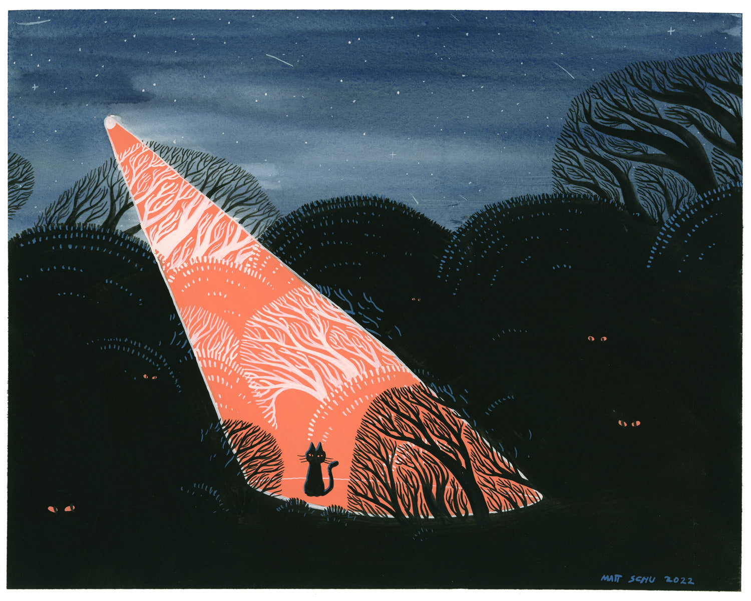 Matt Schu - Black Cat in Spotlight – Nucleus Portland